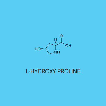Unlocking L-Hydroxyproline: Benefits & Top Supplement for 2025 – HealthyHey Nutrition